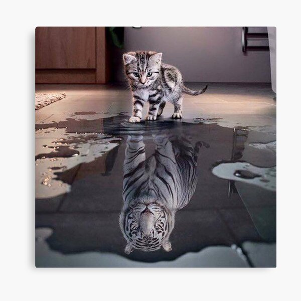 "Believe in Yourself- Kitten Tiger Puddle Mirror Reflection" Canvas ...