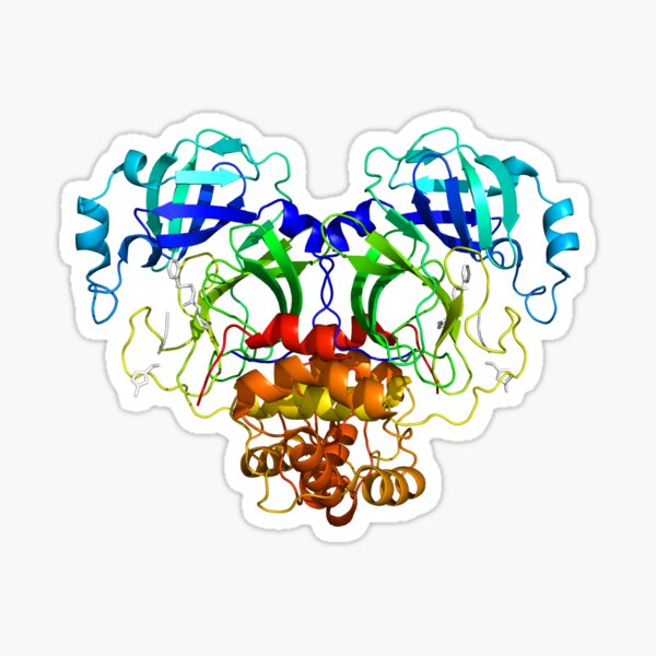 "SARS-CoV-2 Protease Structure" Sticker for Sale by biochembunny ...