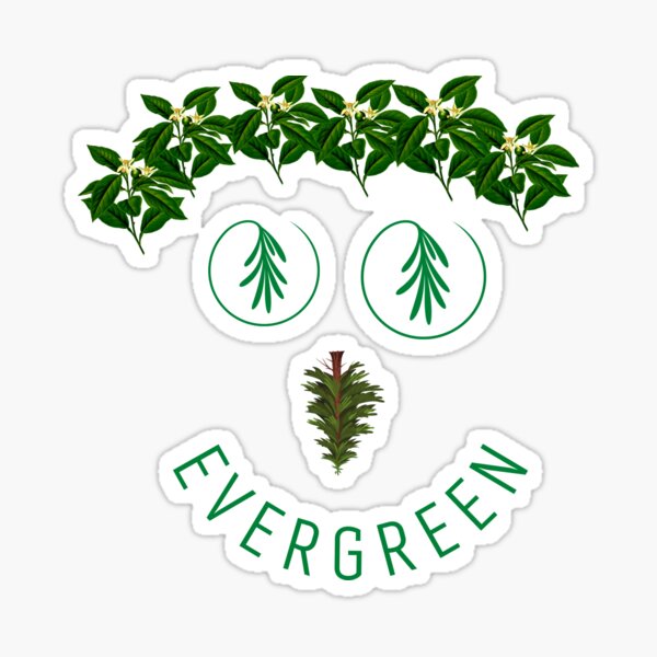 "World Environment Day,Evergreen" Sticker for Sale by mussa1 | Redbubble