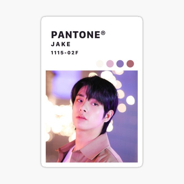 "ENHYPEN Jake Pantone ver." Sticker for Sale by yeasitrus | Redbubble