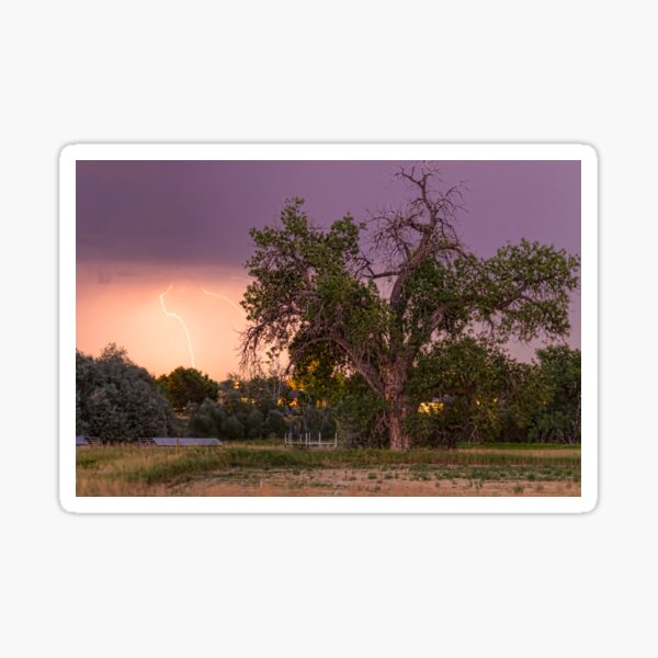 "Thunderstorm In The Woods" Sticker for Sale by mrbo | Redbubble