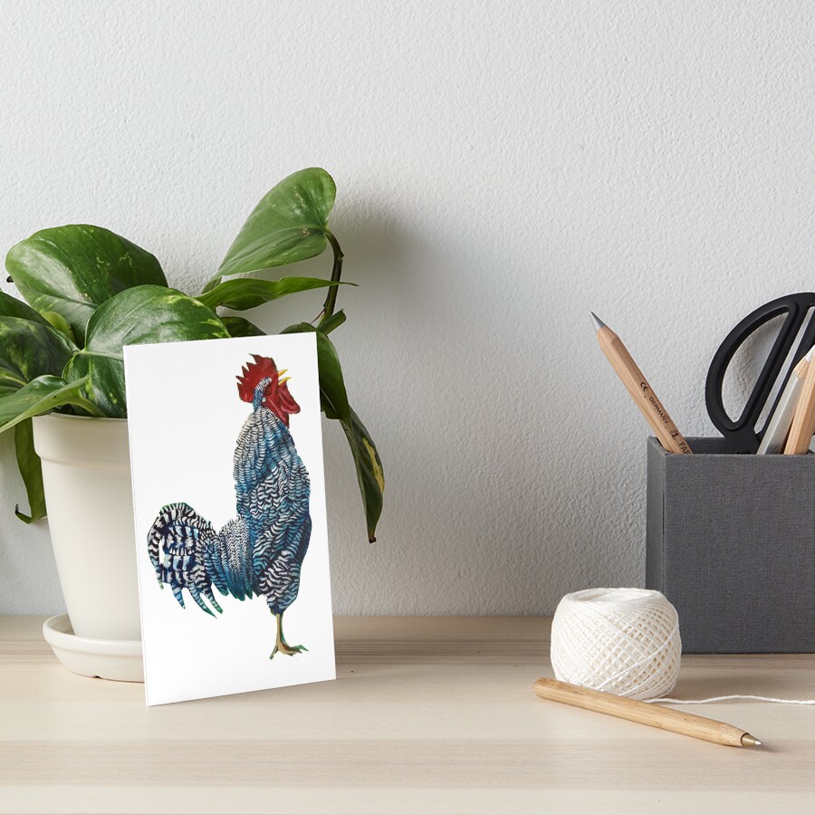 "Rocky the Barred Rock " Art Board Print for Sale by chadtheartist ...