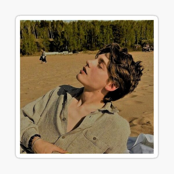 "Louis" Sticker for Sale by VivaanArt | Redbubble