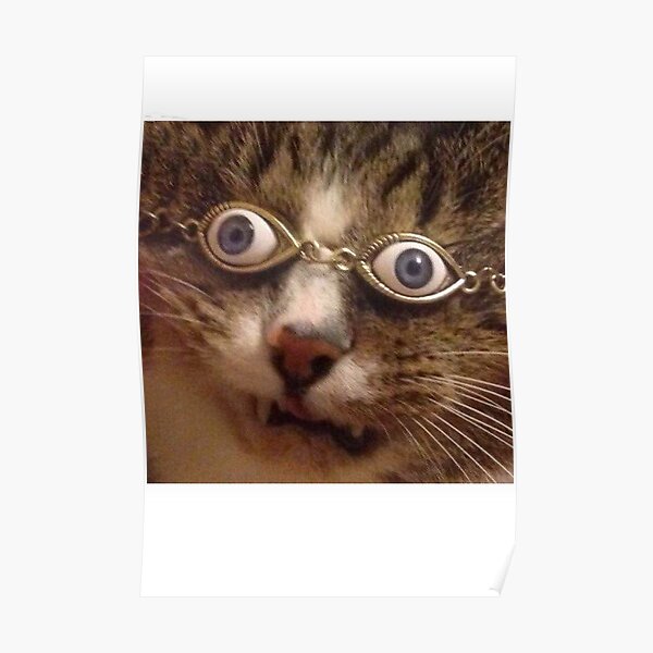 "Funny cursed image cat big eyes meme" Poster for Sale by ArtyMaster ...