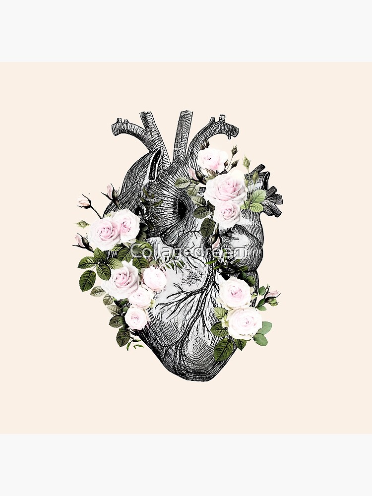 Cojín «Corazón humano y rosas, arte de ilustración de anatomía, rosas ...