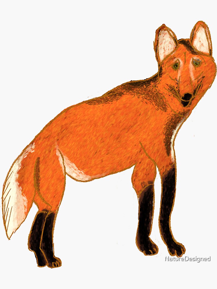 "Maned wolf not the Stilted fox" Sticker for Sale by NatureDesigned ...