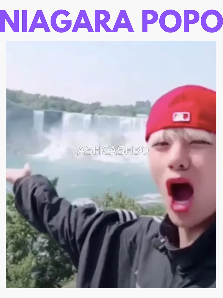 "Taehyung V BTS - Niagara Falls Popo Meme" Sticker for Sale by ...