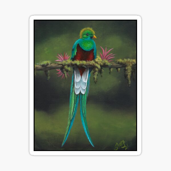 "Resplendent Quetzal " Sticker for Sale by SharpTattoos | Redbubble