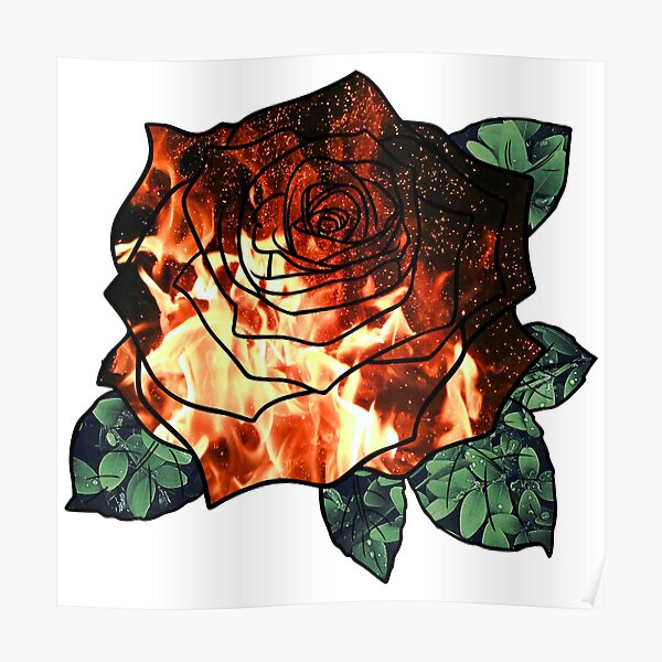 "Bonfire Rose" Poster for Sale by BuzzySpaceBee | Redbubble