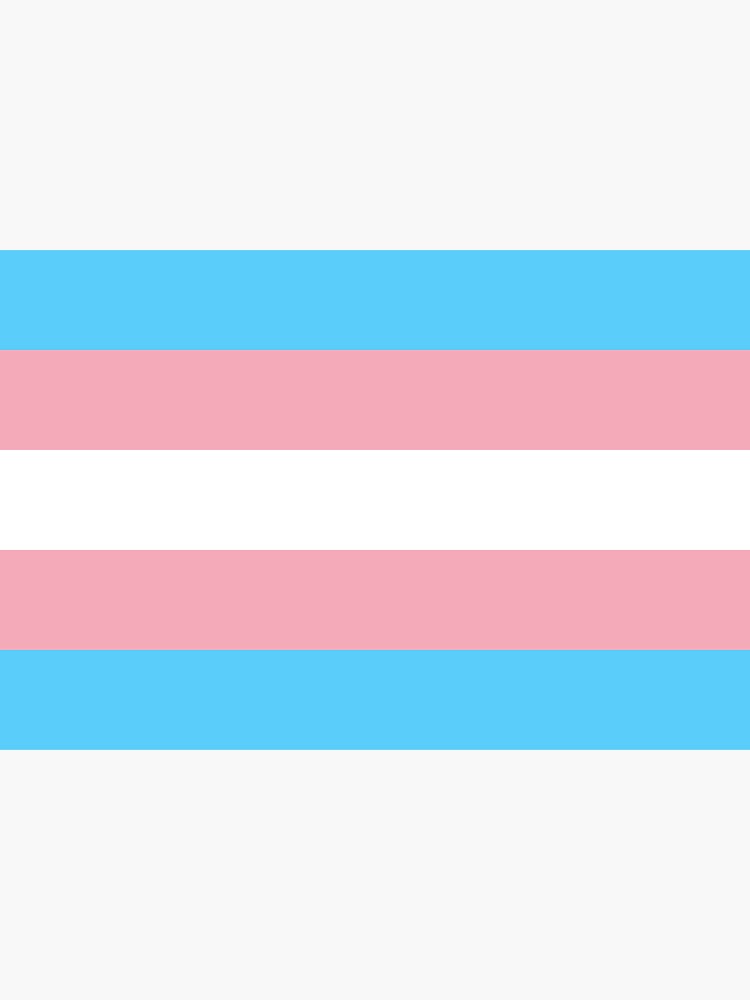 "Trans Flag" Sticker for Sale by LYNNEAPUGH | Redbubble