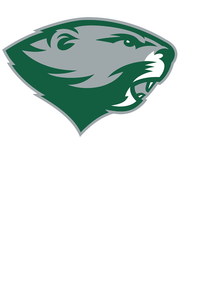 "Babson College- Beavers" Kids T-Shirt for Sale by BeckGoId | Redbubble