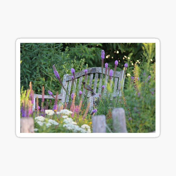 "The Garden Bench" Sticker for Sale by backyardwonders | Redbubble