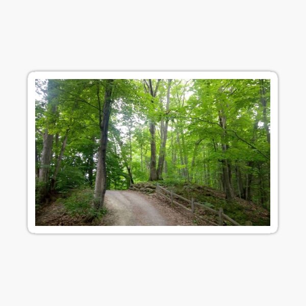 "Forest path" Sticker by Camis-Cosmos | Redbubble