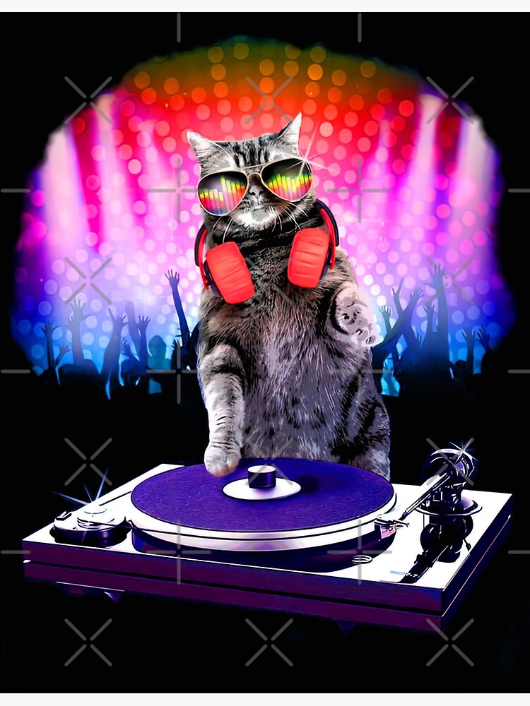 "DJ CAT" Poster for Sale by brionybernard14 | Redbubble