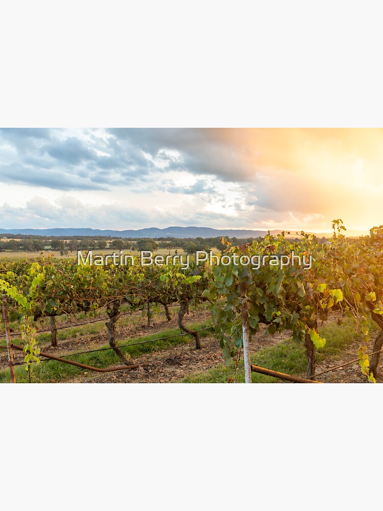 "Sunset over a vineyard in Mudgee wine region" Sticker for Sale by ...