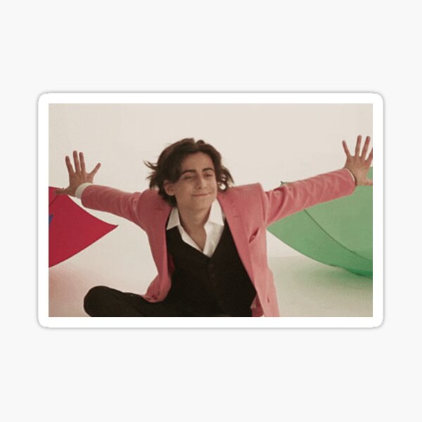 "Aidan Gallagher pink jacket" Sticker for Sale by lizzyrivue | Redbubble