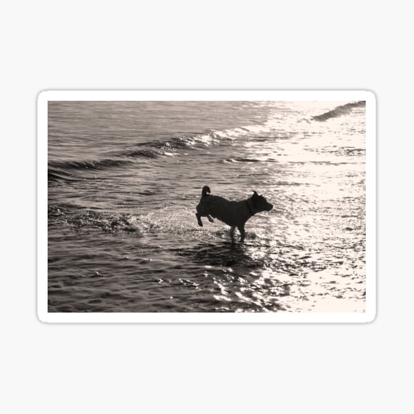 "Skipping Waves" Sticker for Sale by ernest123 | Redbubble