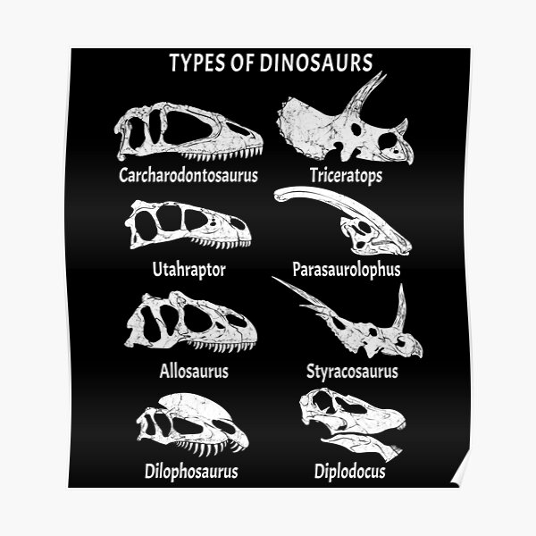 "Dinosaur fossils" Poster for Sale by NicGrayGraphic | Redbubble