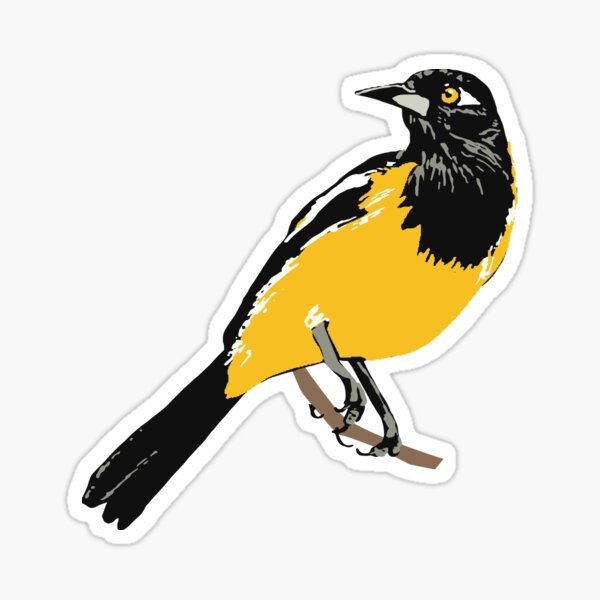 "Venezuelan Troupial Bird Illustration" Sticker for Sale by rachelhirst ...