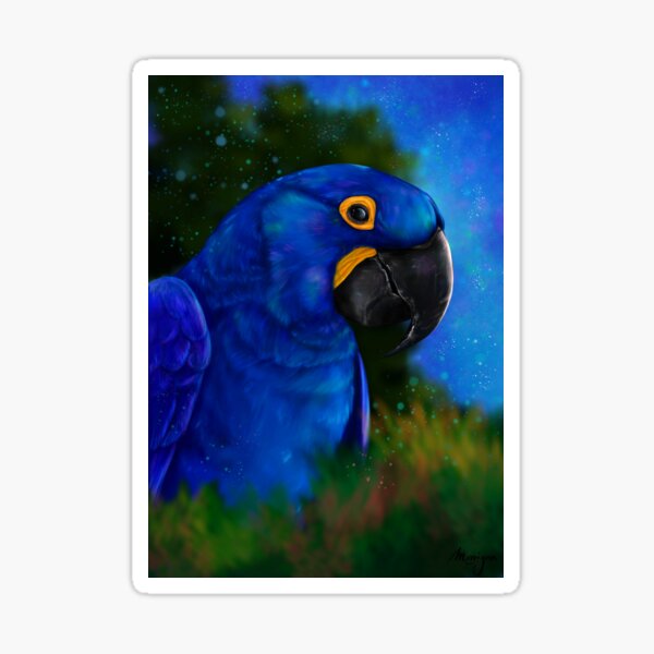 "Hyacinth macaw" Sticker for Sale by morriganart50 | Redbubble