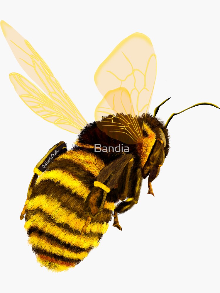 "Flying Fuzzy Bumble Bee" Sticker for Sale by Bandia | Redbubble