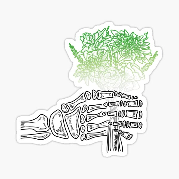 "Skeleton Bouquet - Aromantic Flag" Sticker by FairlyKait | Redbubble