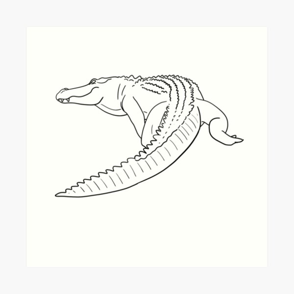 Alligator Line Art Prints | Redbubble
