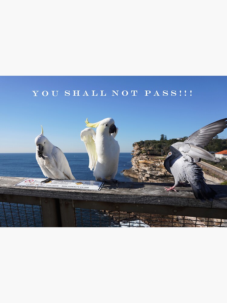 "You Shall Not Pass!" Sticker for Sale by Annalucia | Redbubble