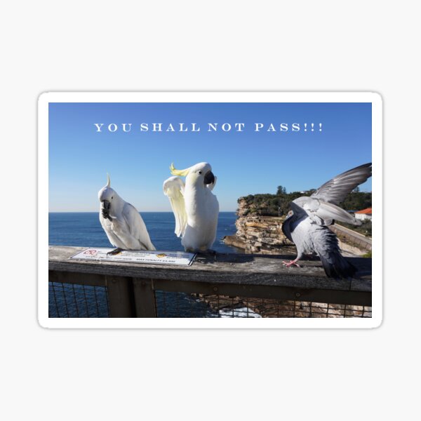 "You Shall Not Pass!" Sticker for Sale by Annalucia | Redbubble