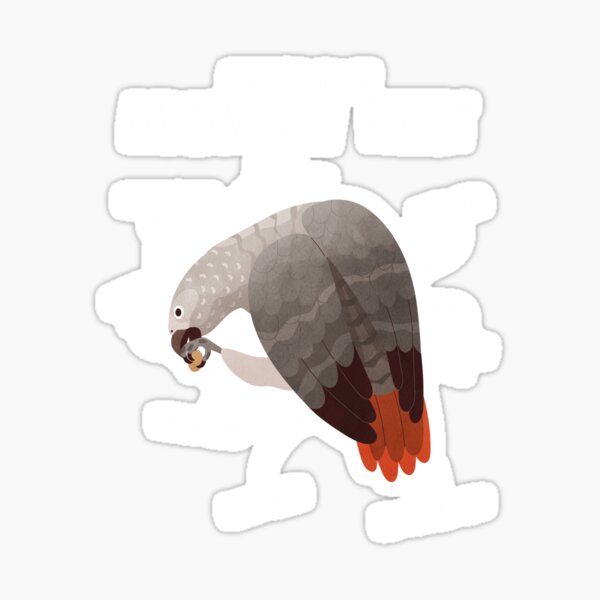 "African Grey Anatomy" Sticker for Sale by Clara Hollins | Redbubble