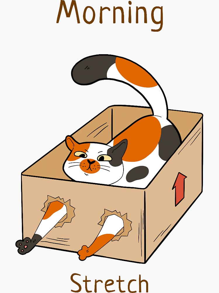 "Cat in the Box" Sticker for Sale by adamajd | Redbubble