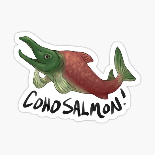 "Coho Salmon! " Sticker for Sale by SharkSplatter | Redbubble