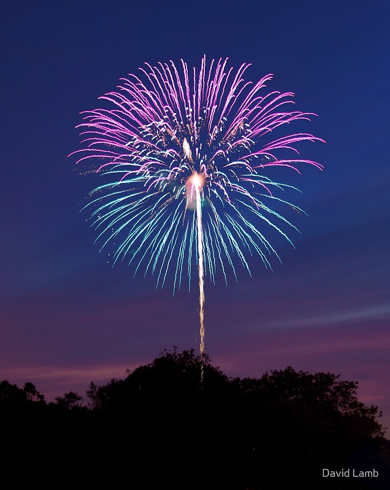 "Single Firework" by David Lamb | Redbubble