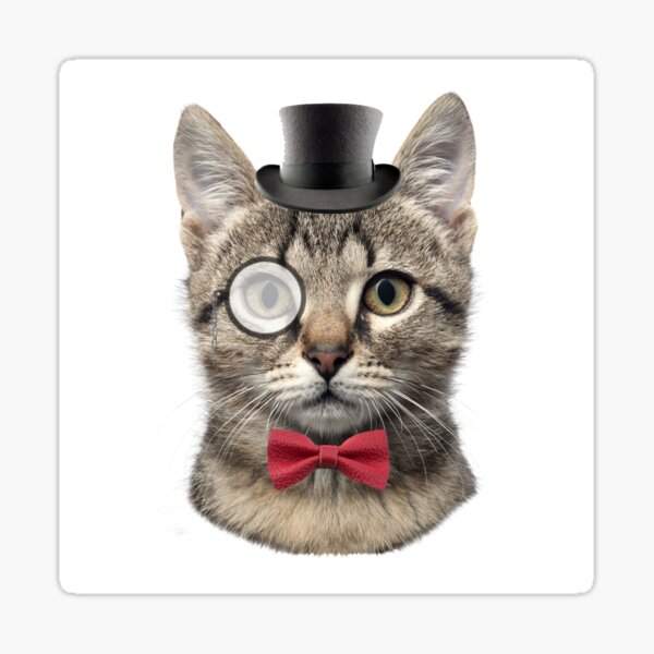 "Monocle Cat" Sticker for Sale by mad-monkey | Redbubble