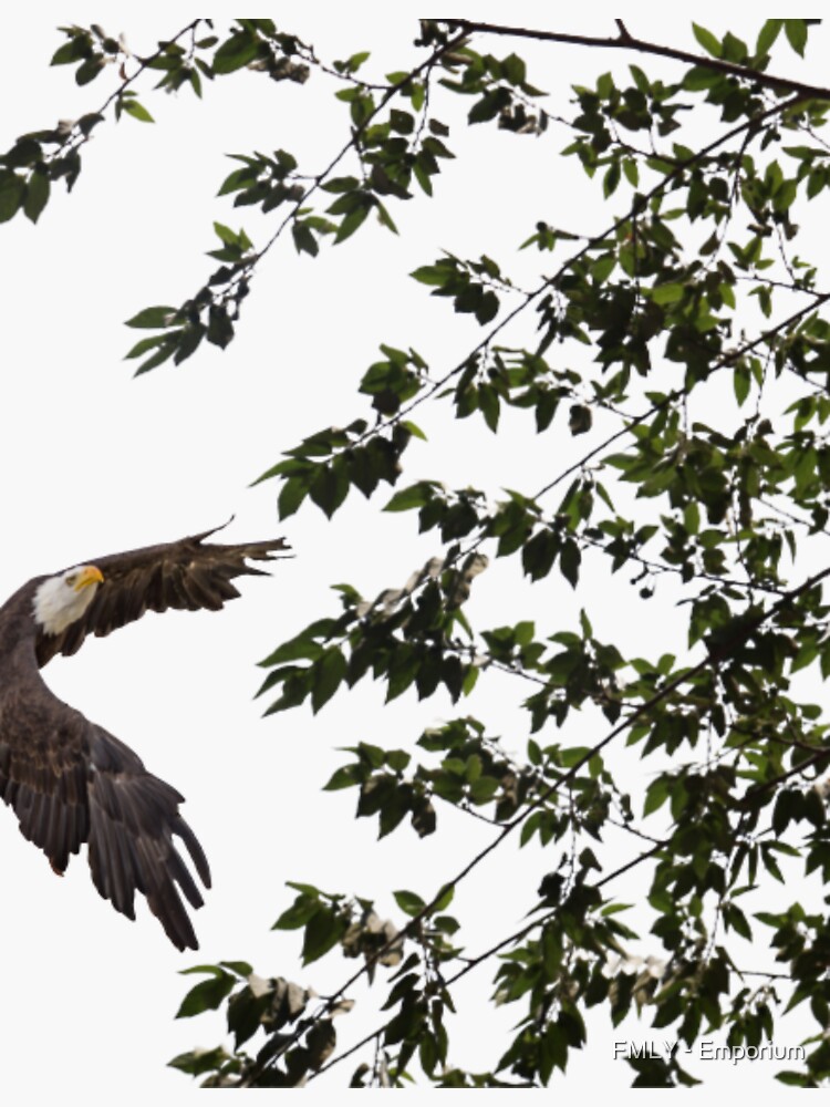 "Mansanitas" Sticker for Sale by ieshmee | Redbubble