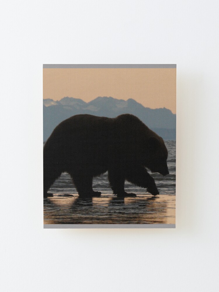 Lámina montada « Lienzo de oso grizzly, oso grizzly, animal, animales ...