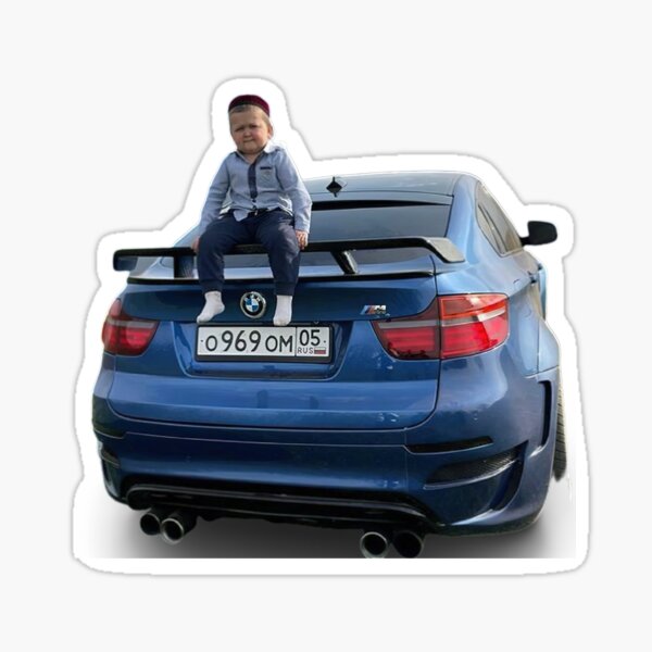 "Hasbulla Classic" Sticker by Haveharmos | Redbubble