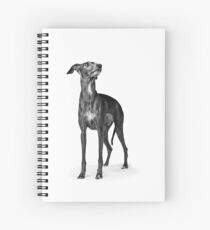 Italian Greyhound: Gifts & Merchandise | Redbubble