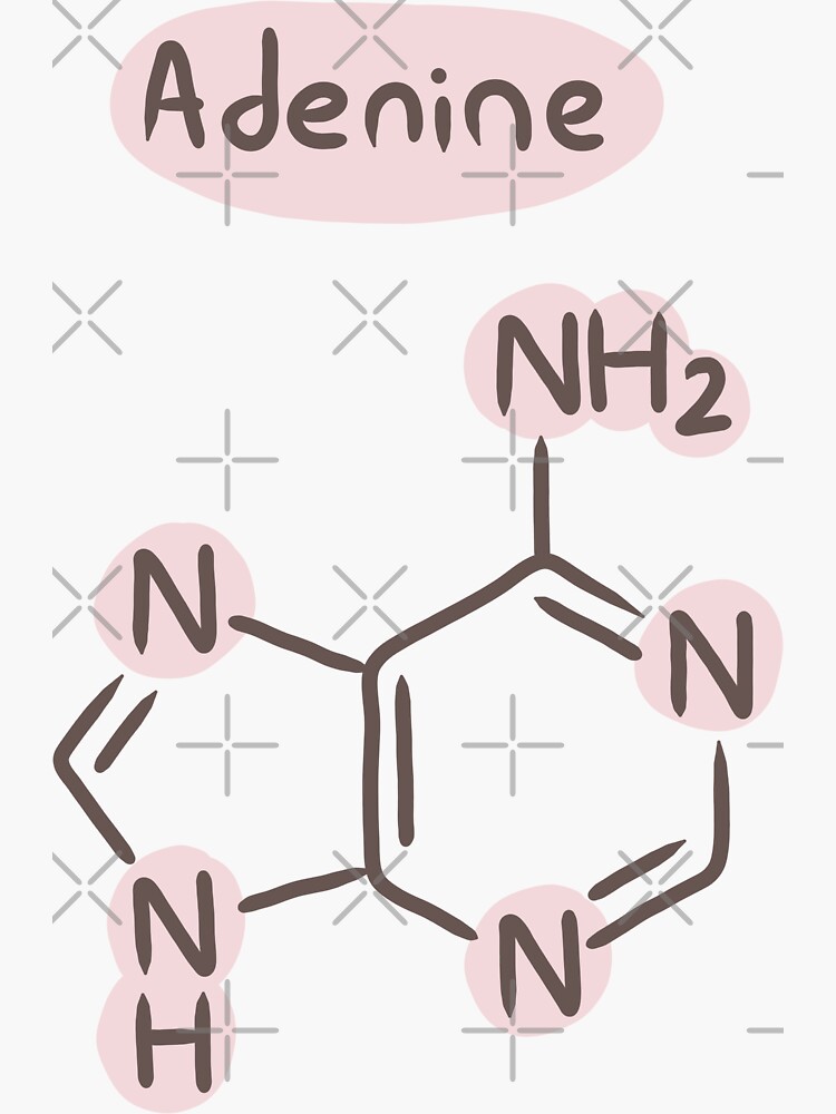 "Adenine" Sticker for Sale by Pauli- | Redbubble