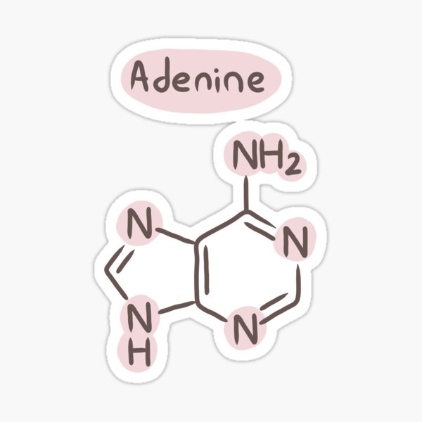 "Adenine" Sticker for Sale by Pauli- | Redbubble