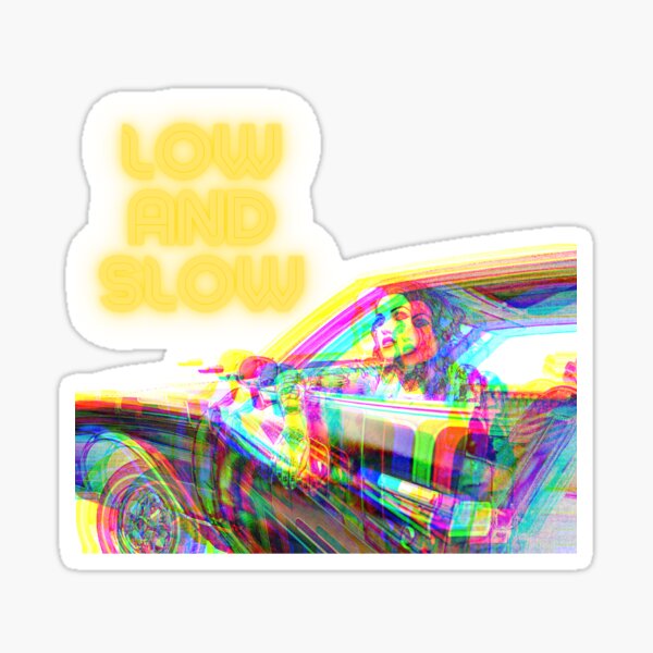 "Low and slow" Sticker for Sale by dajaab | Redbubble