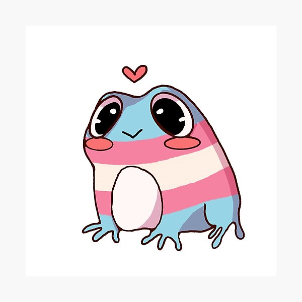 "Trans frog" Photographic Print by eat-moss | Redbubble