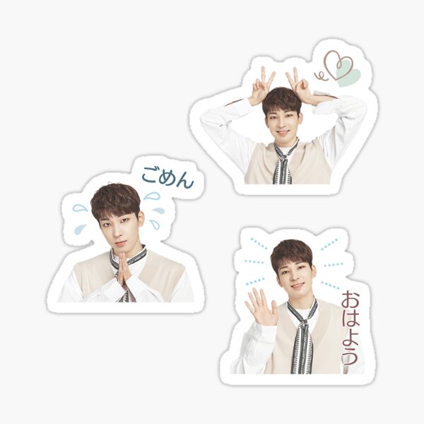 "Seventeen WONWOO WhatsApp Messenger Set" Sticker for Sale by jjoonbug ...