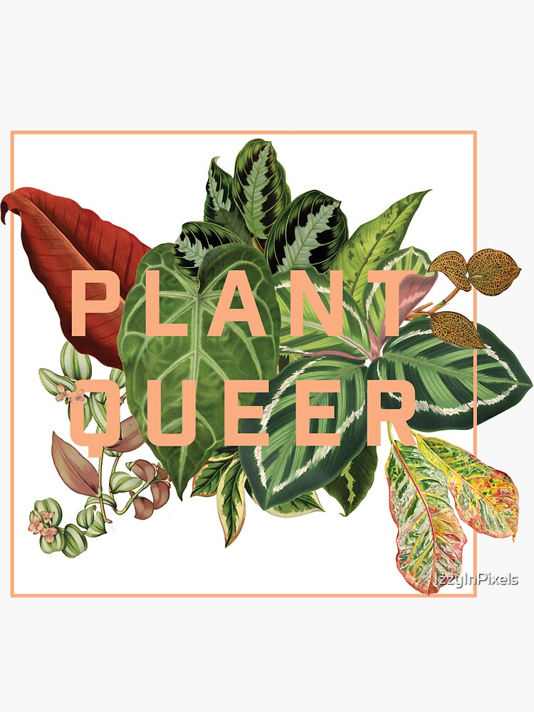 "Plant Queer " Sticker by IzzyInPixels | Redbubble
