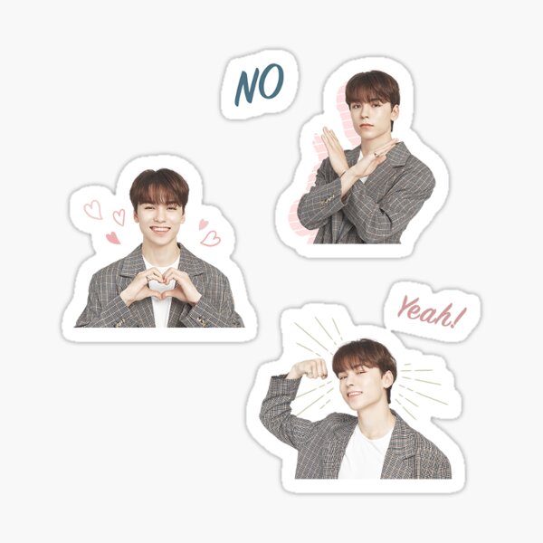 "Seventeen VERNON WhatsApp Messenger Set" Sticker by jjoonbug | Redbubble