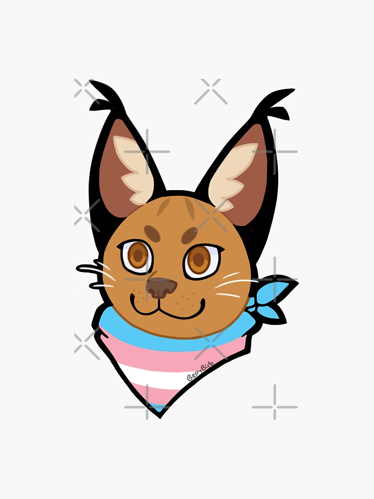 "Trans Pride Floppa" Sticker for Sale by bird-brained | Redbubble