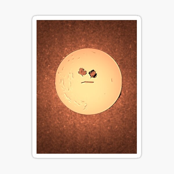"Parsley Moon Face" Sticker for Sale by Tovers | Redbubble