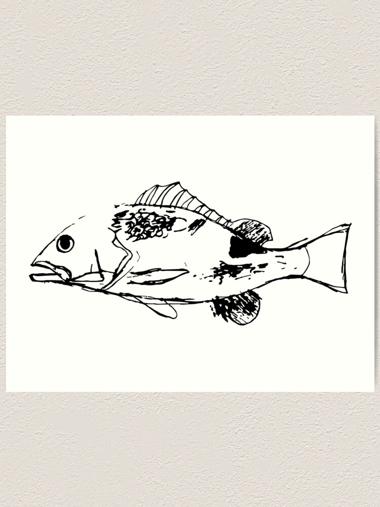 "Black illustration of a fingermark fish on a plain white background ...