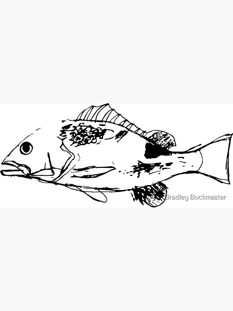 "Black illustration of a fingermark fish on a plain white background ...