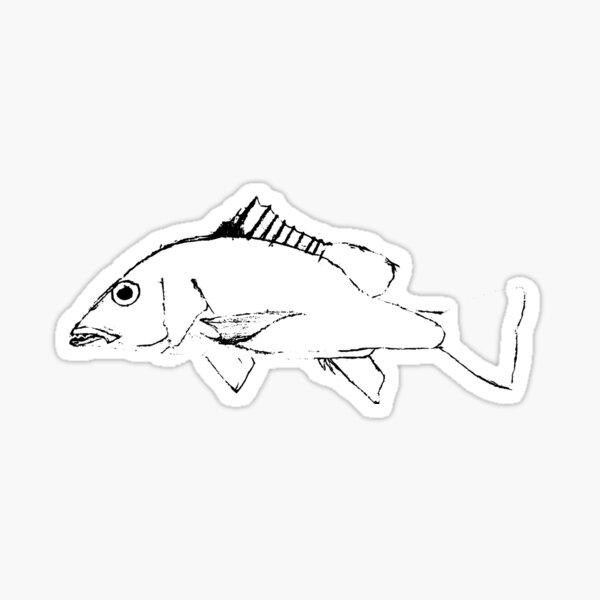 "Black illustration of a mangrove jack on a plain white background ...